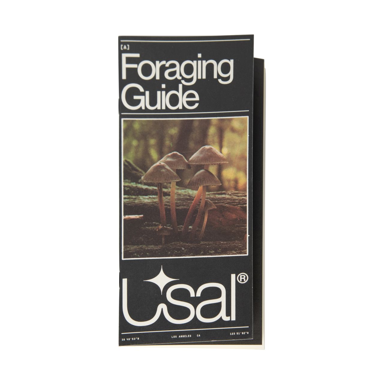 Forage Guide by Usal Project | Basic.Space
