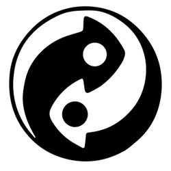 Siam.Circle | Basic.Space